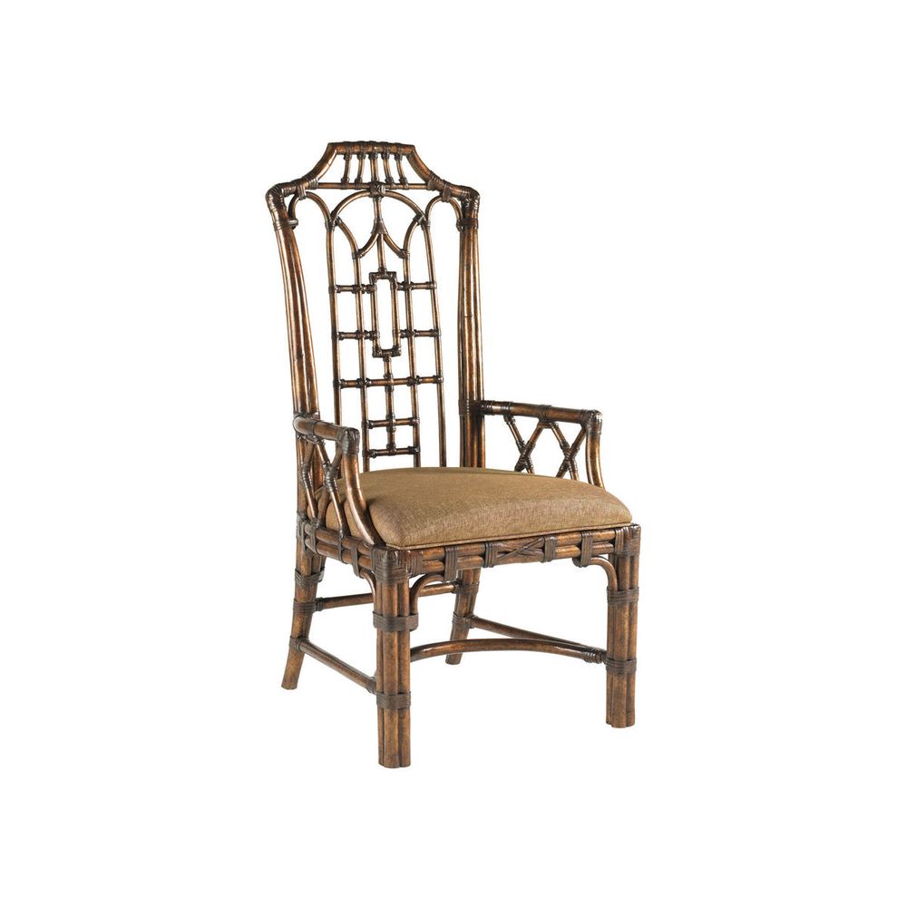 Pacific Rim Arm Chair - Tortoise Shell – France & Son
