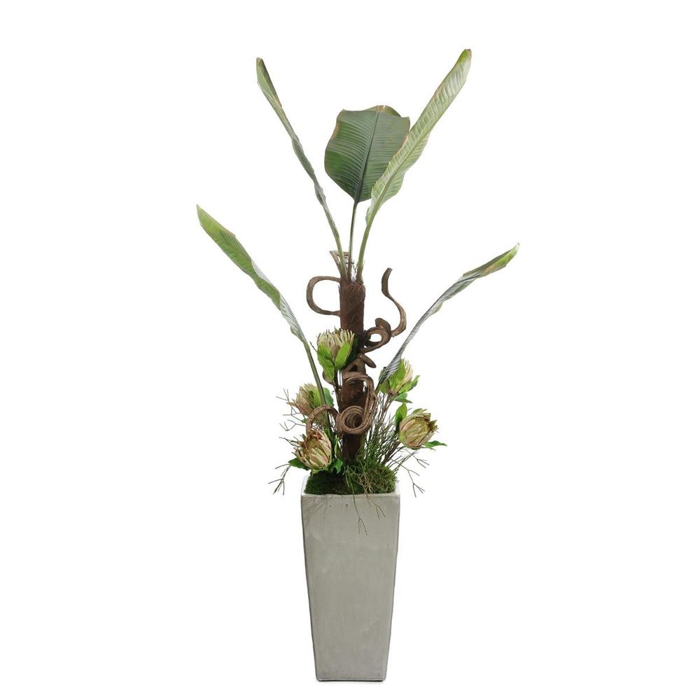 Verdant Tropic – France & Son