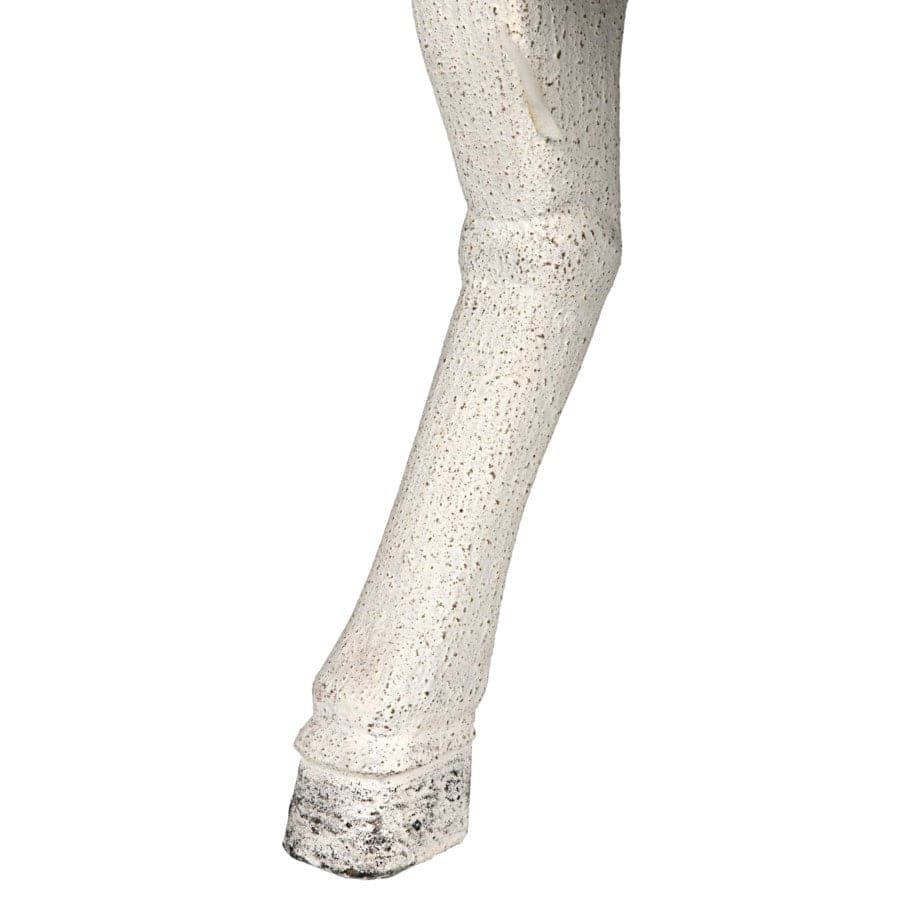 Claw Leg Saddle Stool by Noir Stools & Ottomans NOIR-GSTOOL113WW ...